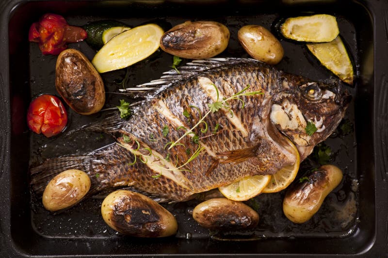 Fish roasted stock photo. Image of casserole, seafood - 24056746