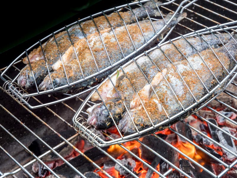 Fish roaster on the grill stock image. Image of grate - 193835921