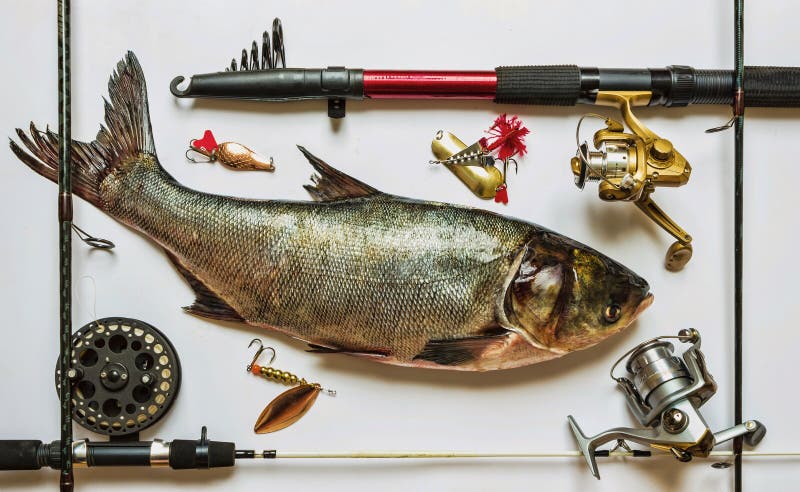Fish with rods and tackle stock image. Image of leisure - 32415015