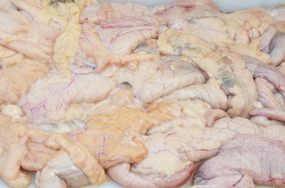 Fish Roe stock photo. Image of sperm, ocean, soft, eggs - 98755184