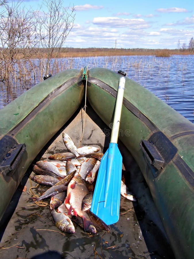 Fish in rubber boat stock photo. Image of river, meal - 7151394
