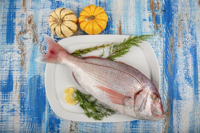 Fish on a Rustic Wooden Floor - Common Dentex , Pink Dentex, Dentex ...