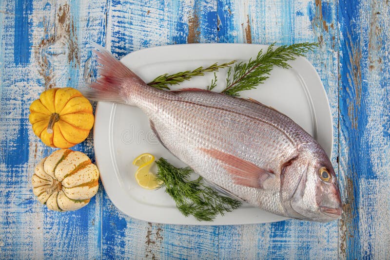 Fish on a Rustic Wooden Floor - Common Dentex , Pink Dentex, Dentex ...