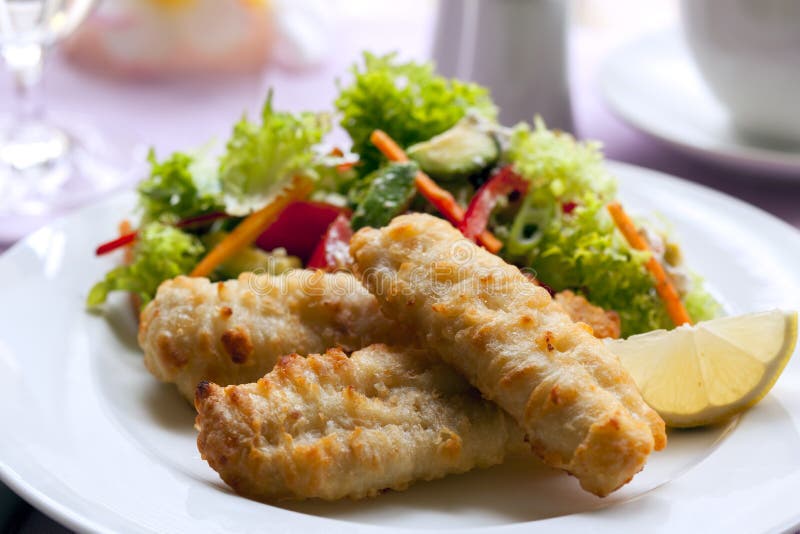 Fish and Salad stock image. Image of batter, horizontal - 26664663