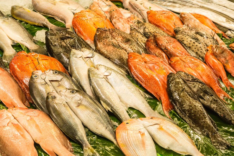 Fish Sale at the Dock Seafood Market Stock Photo - Image of bass, pier ...