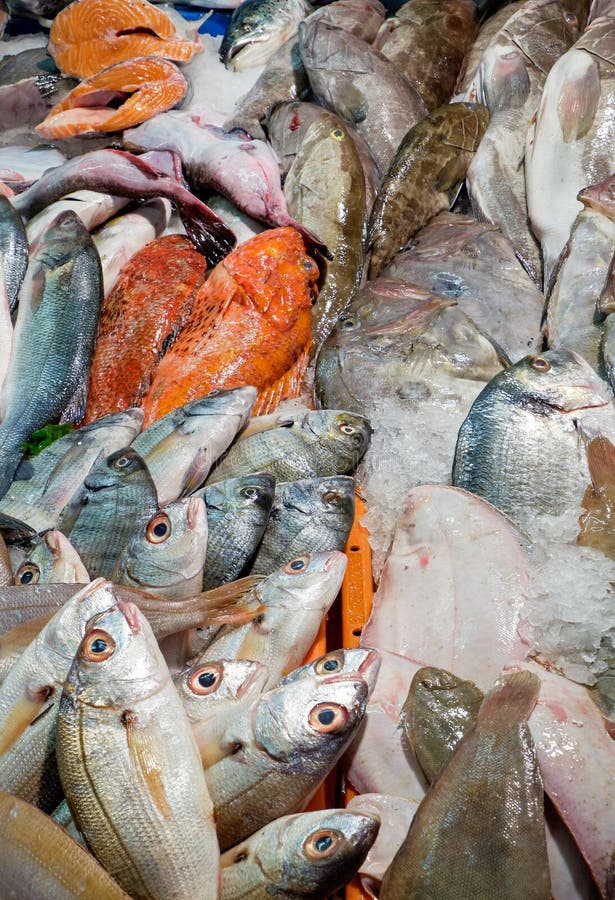 Fish for sale stock image. Image of seafood, saltwater - 43174403