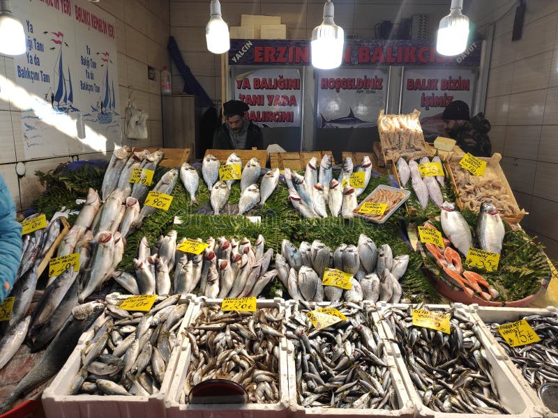 Fish Sale at the Fish Market Editorial Image - Image of fish, market ...