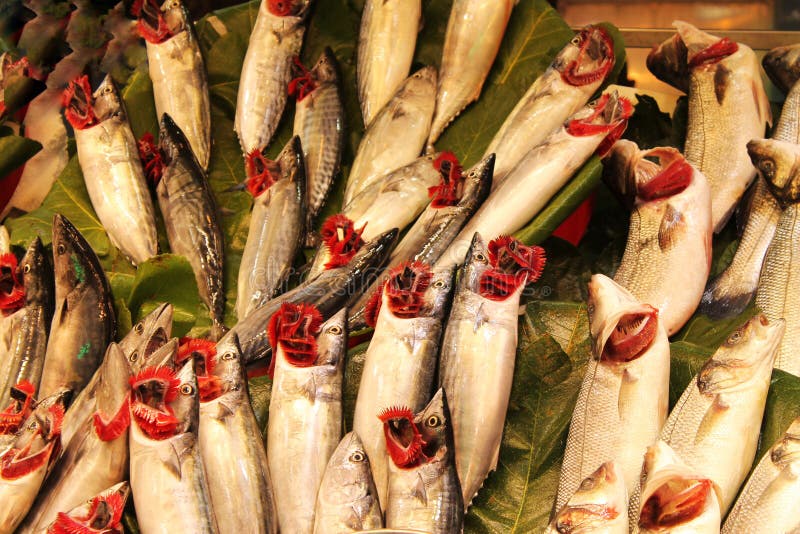 Fish for sale stock image. Image of silver, dead, store - 62739427