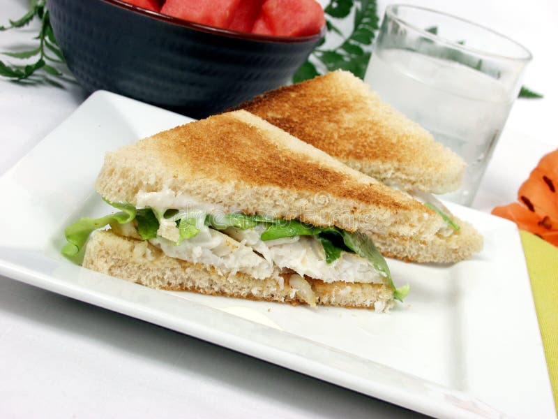 Fish sandwich stock image. Image of fish, cuisine, tasty - 1646823