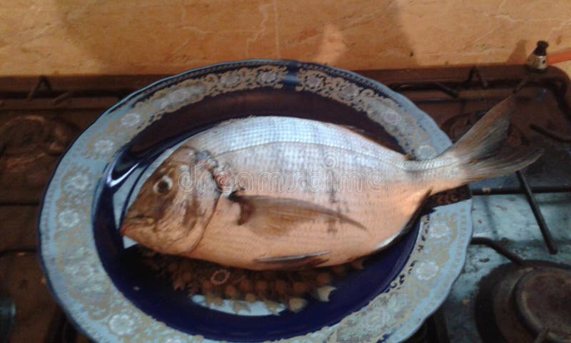 4,186 Sar Photos - Free & Royalty-Free Stock Photos from Dreamstime