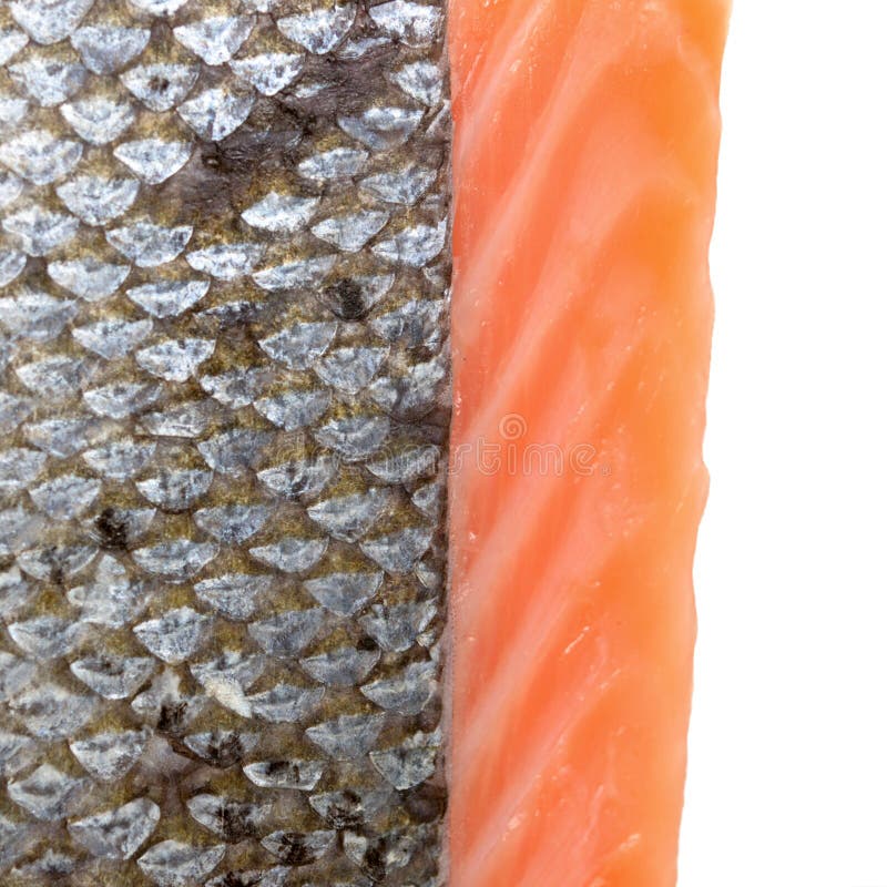Fish scales stock image. Image of salar, food, fillet - 31547197