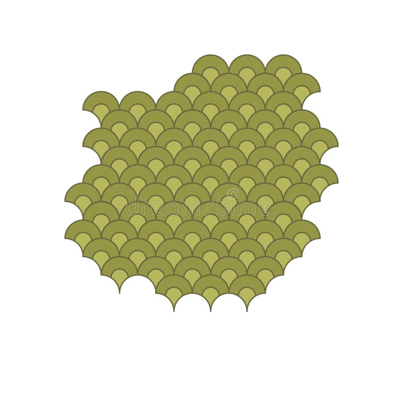 Fish Scales Vector Illustration Design Template Stock Vector ...