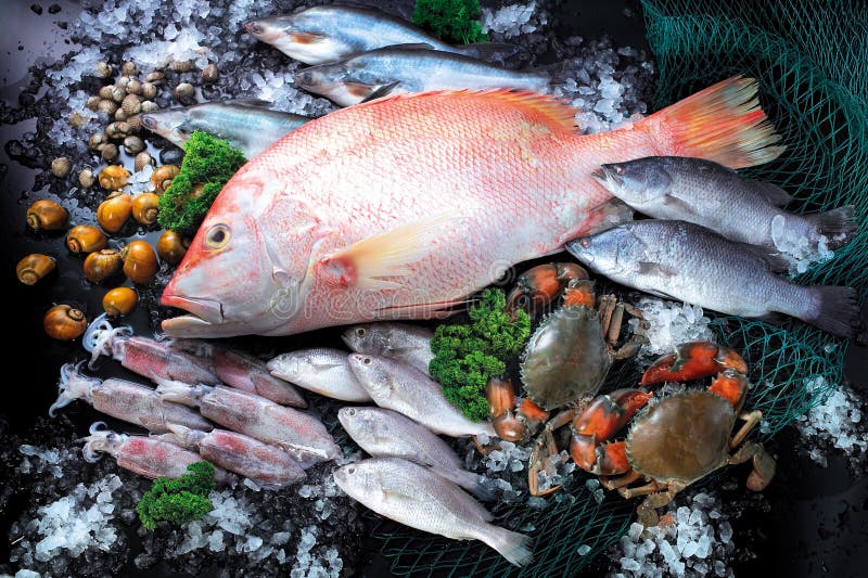 Fish and seafood stock photo. Image of oyster, delicacy - 14288866