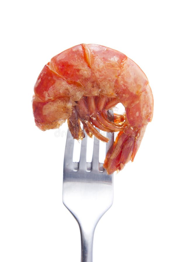 Prawn and fork stock photo. Image of fauna, animal, tasty - 1550992