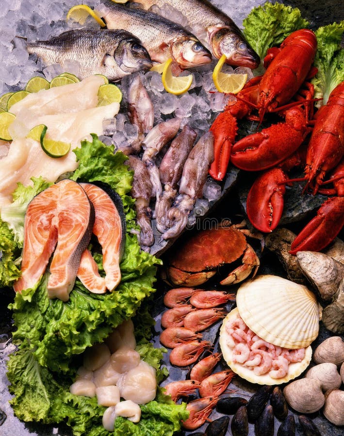 Fish and seafood stock photo. Image of food, pacific - 14288866