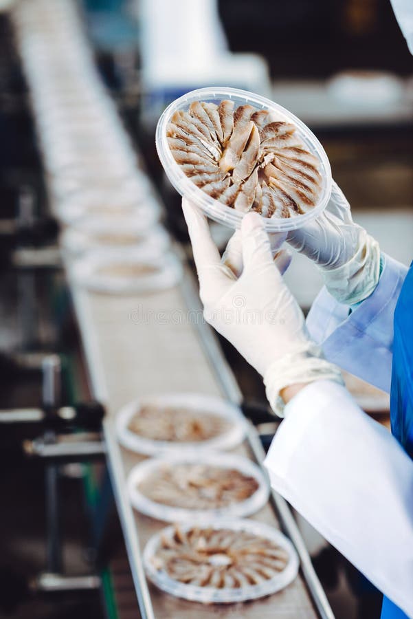 Fish seafood factory stock image. Image of industry - 114690845