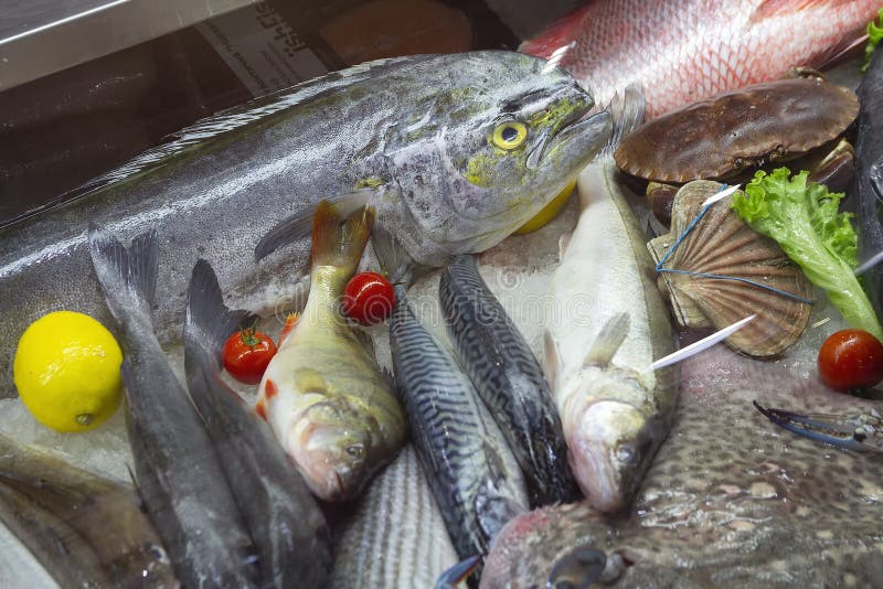 Variety Fish Seafood Shop Window Stock Photos - Free & Royalty-Free ...