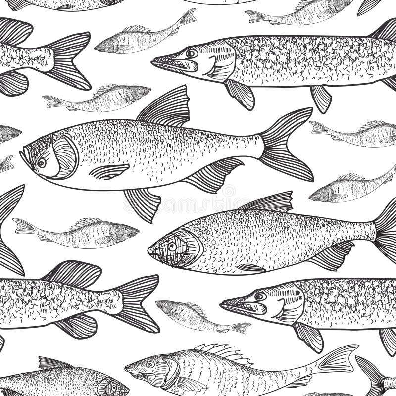 Fish Seamless Pattern. Hand Drawn Doodle Line Decorative Marine Stock ...