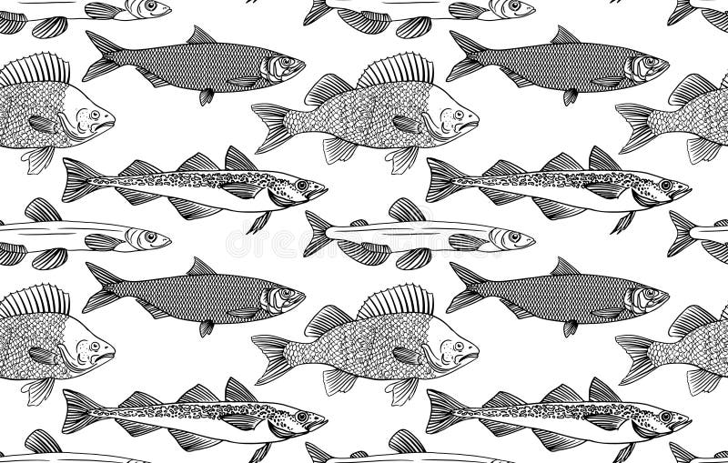 Pollack Sketch Stock Illustrations – 6 Pollack Sketch Stock ...