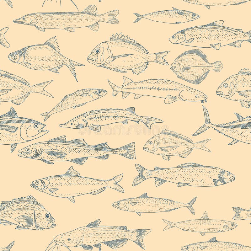 Fish Seamless Pattern stock vector. Illustration of wildlife - 255231984