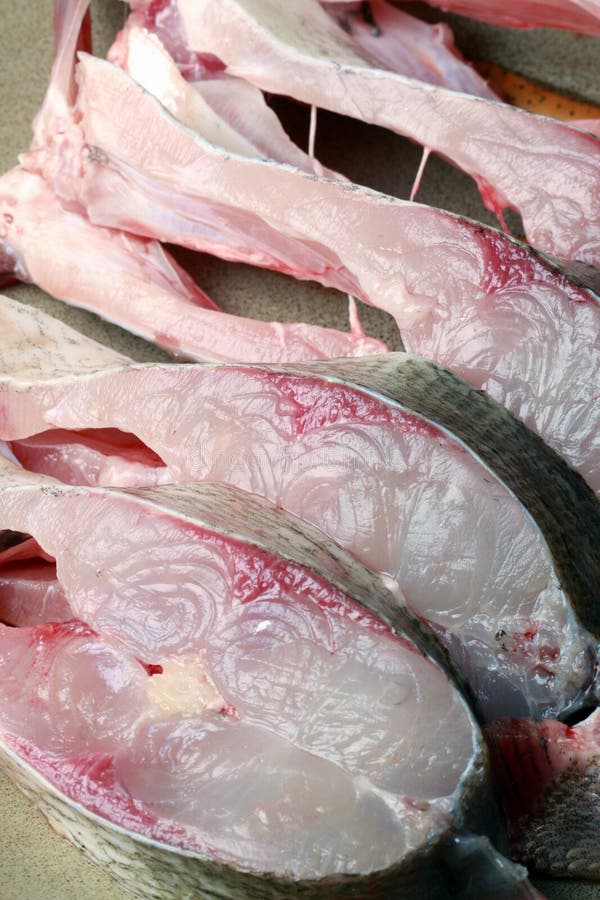 Fish Section stock photo. Image of meat, seafood, cold - 17920254