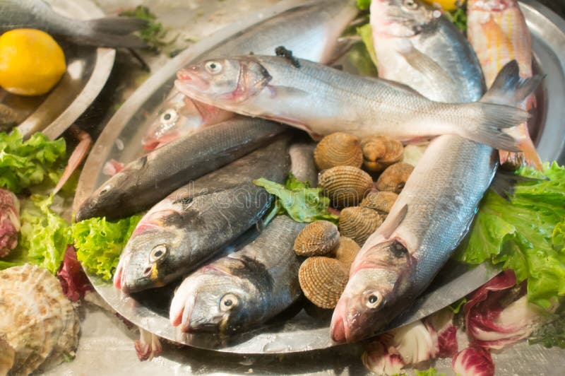 Fish selection stock photo. Image of ocean, catch, displayed - 38287274