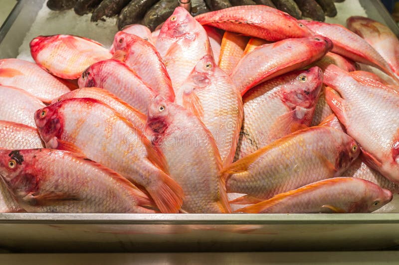 Fish Seller stock image. Image of freshness, preparetion - 36604367