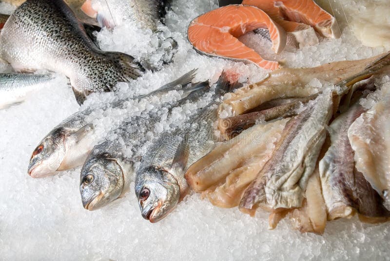 Frozen Fish stock image. Image of iced, cold, diet, market - 14714327