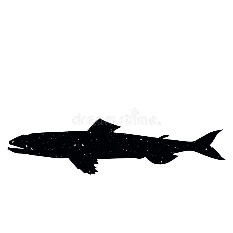 Fish Shadow Animal Icon Silhouettes Isolated on Dark Black Graphical in ...