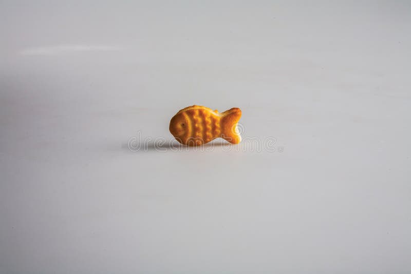 Fish-shaped biscuit stock image. Image of healthy, isolated - 100362521