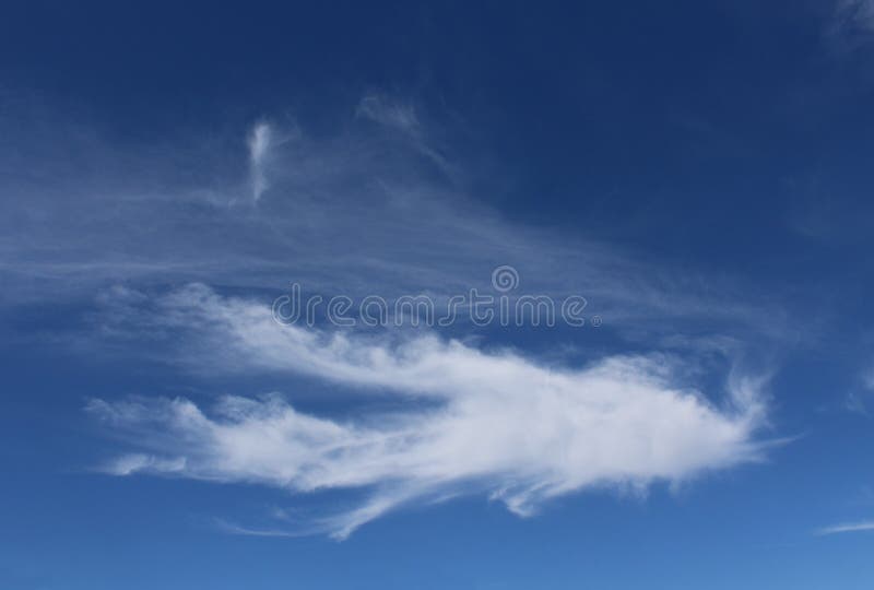 Cloud and fish stock photo. Image of animal, lagoon, diving - 21831380
