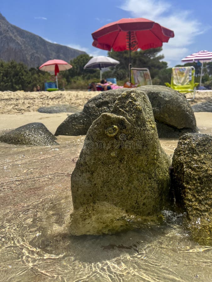 Fish Shaped Rock Stone on the Beach Stock Photo - Image of ocean, pool ...