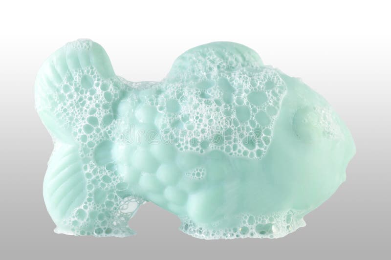 Fish shaped tran capsules stock photo. Image of liver - 7751950