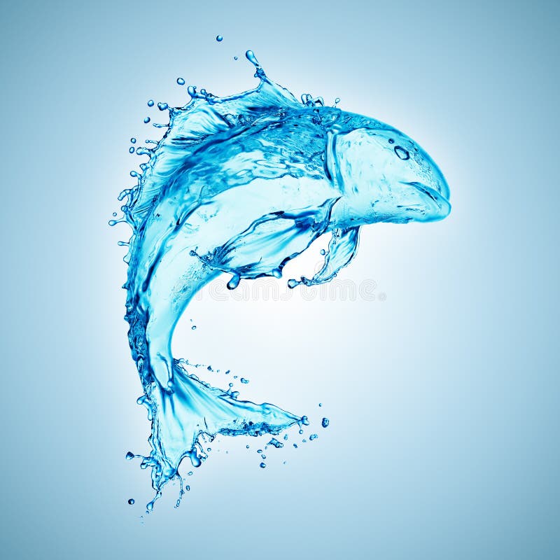 Water splash,fish stock image. Image of freshness, motion - 24988709