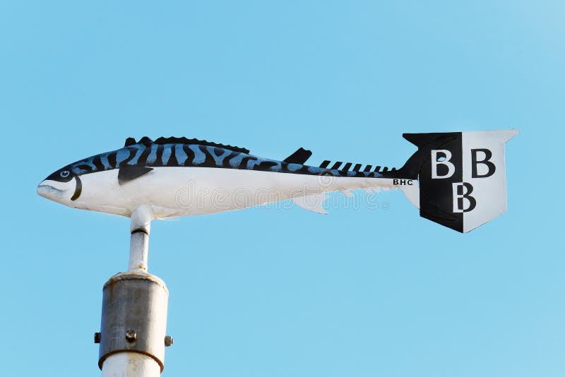 Fish wind sculptures stock photo. Image of pointing, creatures - 9168524