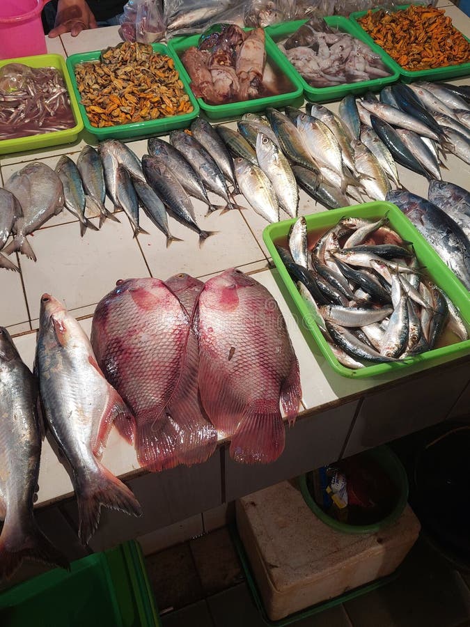 Fish Sheel Shrimp Squid Octopus Stock Photo - Image of squid, fish ...