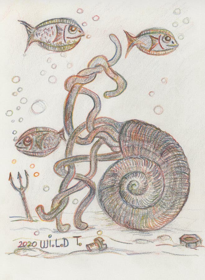 Fish, Shell and Octopus Drawing Stock Illustration - Illustration of ...