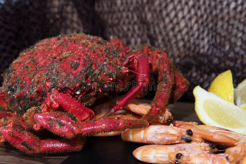 Fish and shellfish stock image. Image of food, meal - 152154327