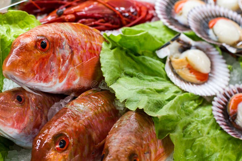 Fish and Shells at the Restaurant Stock Photo - Image of fried, dishes ...
