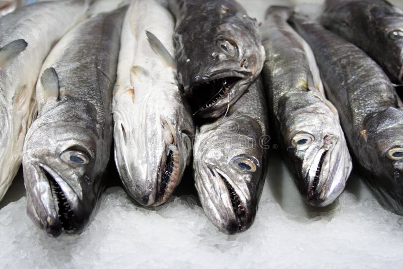 Fish shop stock photo. Image of gastronomy, food, healthy - 12550796