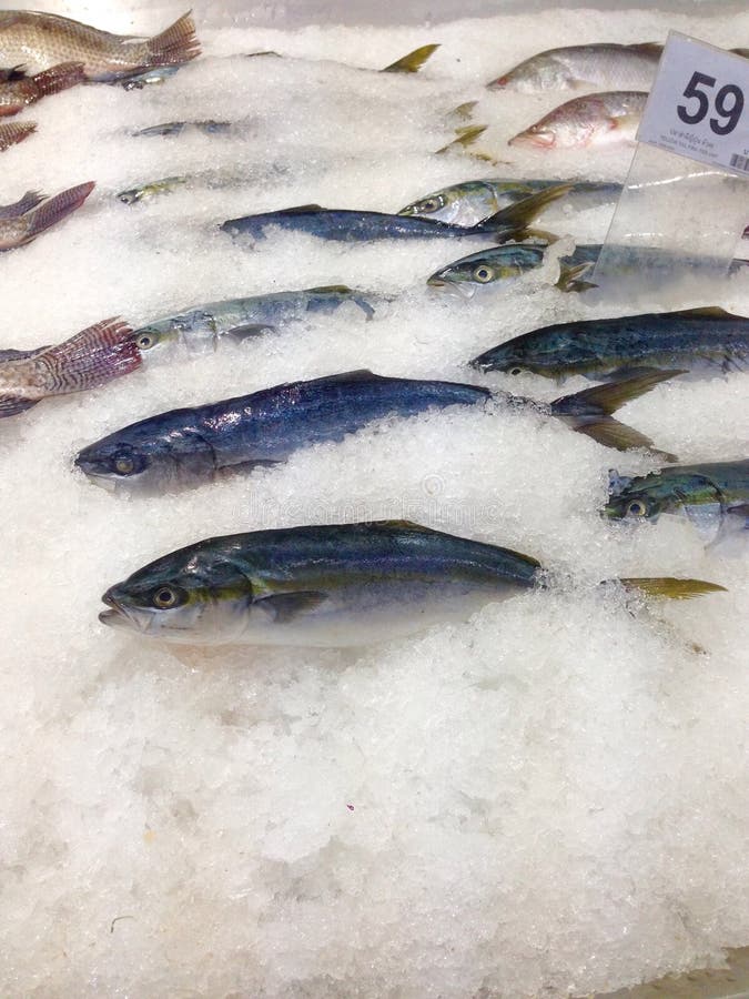 Fish shop stock image. Image of supermarkets, shop, fish - 59174671