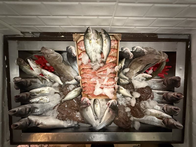 Fish Shop at Restaurant, Mixed Type Fish and Fish Stand Stock Photo ...