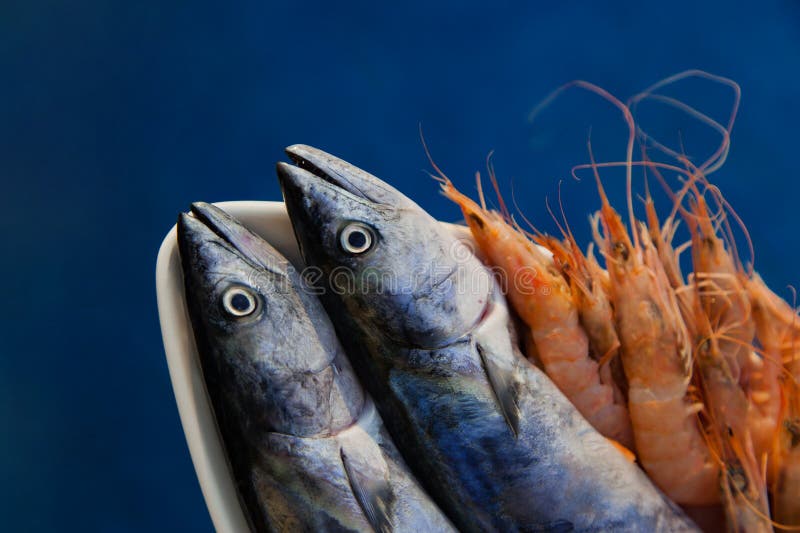 Fish and shrimp stock image. Image of fish, fresh, healthy - 75098387