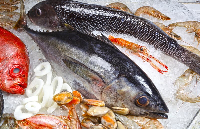 Fish and shrimp stock photo. Image of barbecue, lunch - 60159494