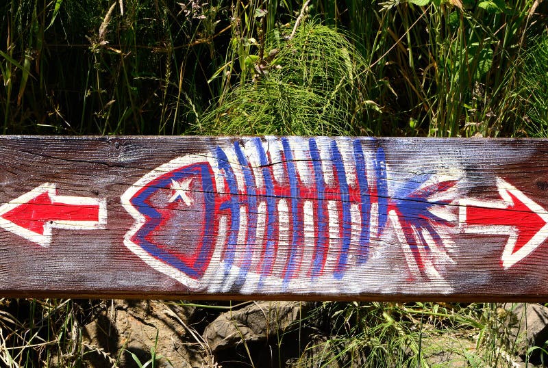 Fish Sign stock photo. Image of healthy, store, seafood - 20516612