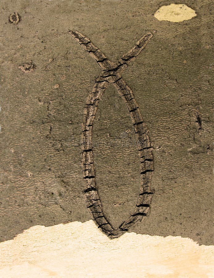 Fish sign stock image. Image of nature, scar, aged, rind - 3671807