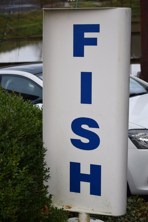 Fish sign stock photo. Image of fish, lighting, advertising - 350384246