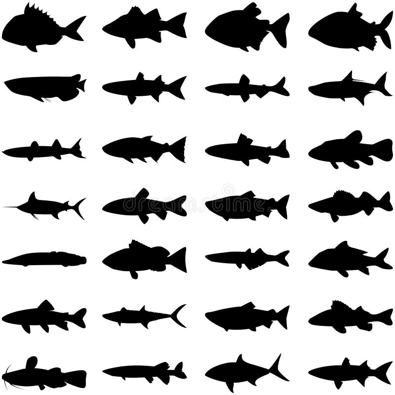 Fish sihouette stock vector. Illustration of mullet, outline - 26050689