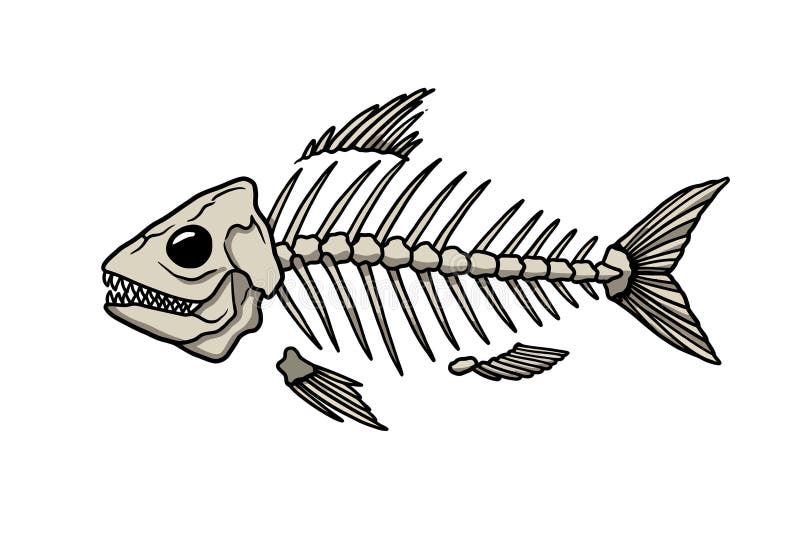 Fish skeleton clip art stock vector. Illustration of structure - 366196251