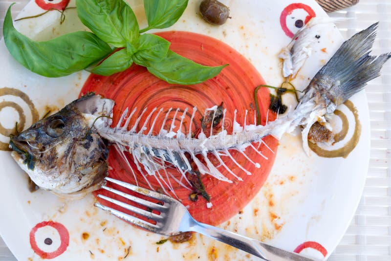 Fish Skeleton on Dish. Fun. Stock Image - Image of fish, skeleton: 43133759